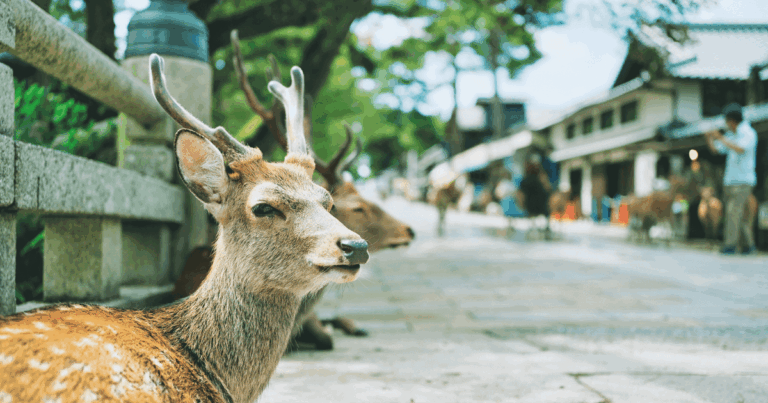 CRREM（Carbon Risk Real Estate Monitor）とは？クレム座礁資産について解説